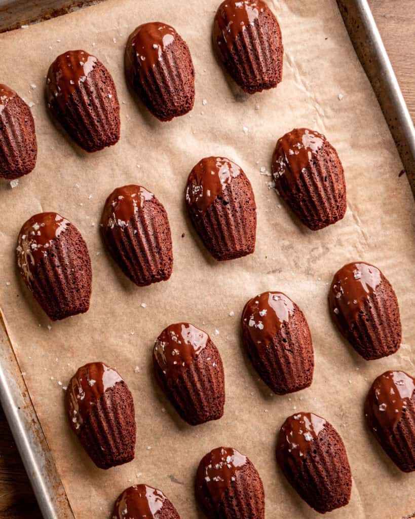 Chocolate Madeleines - In Bloom Bakery
