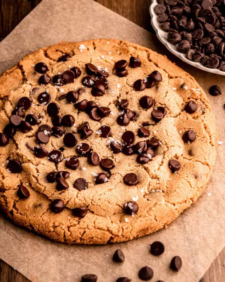 Giant Chocolate Chip Cookie - In Bloom Bakery